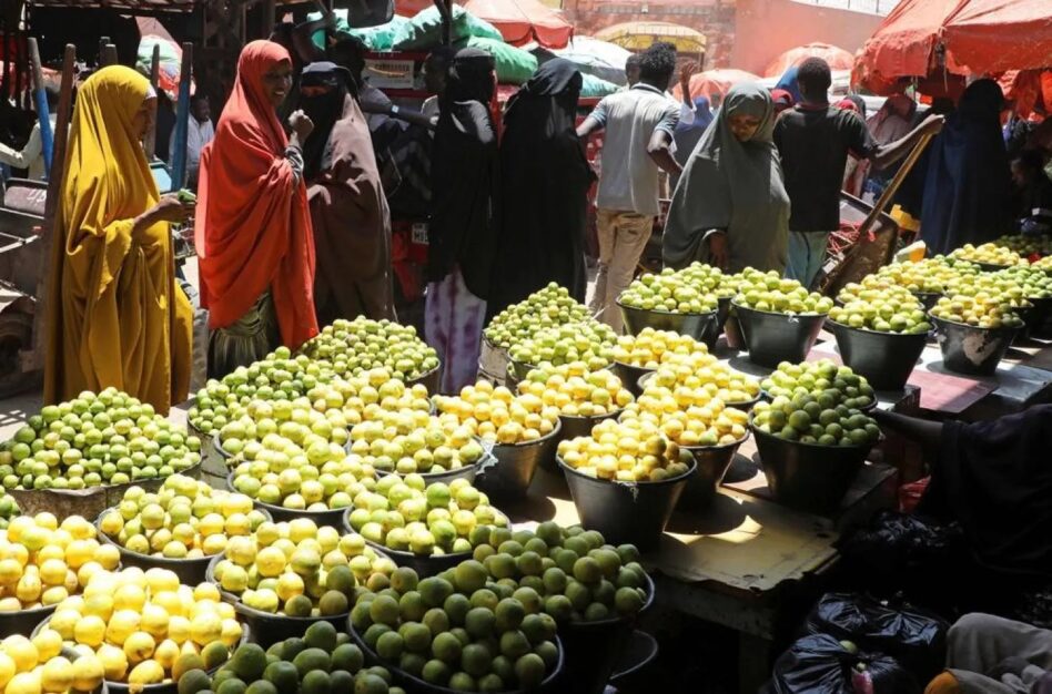 Somalia faces soaring food, fuel and water prices amid Strait of Hormuz ...