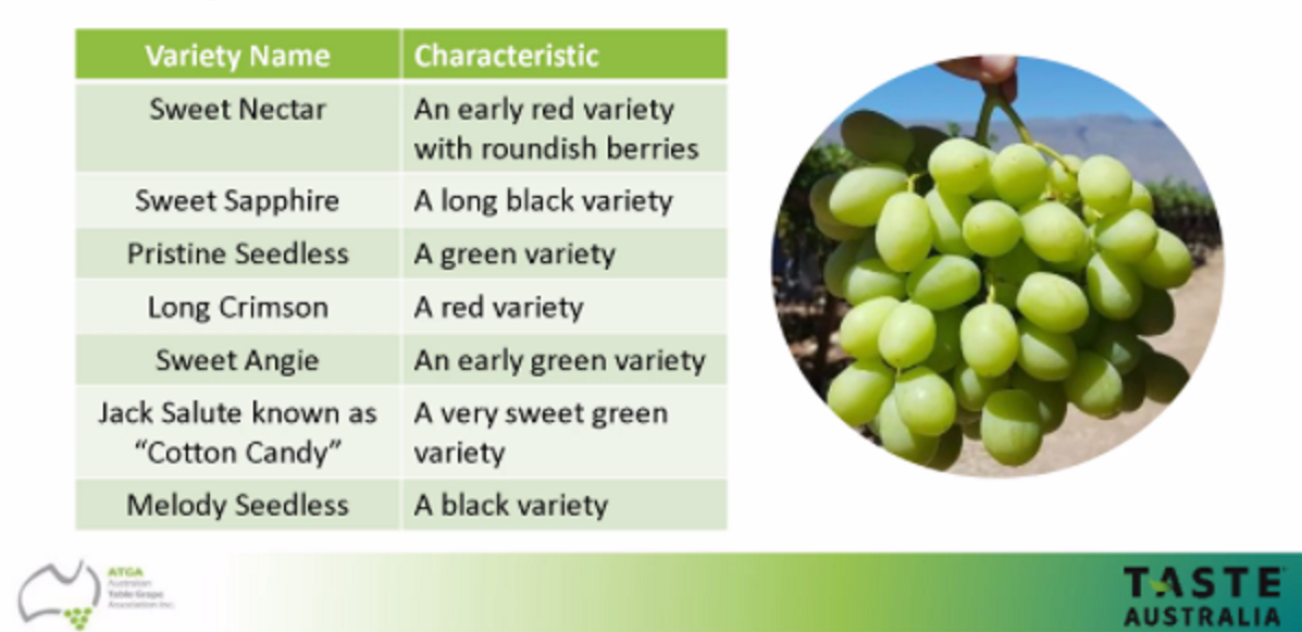 Australian table grapes: The best of the bunch - Focus Malaysia