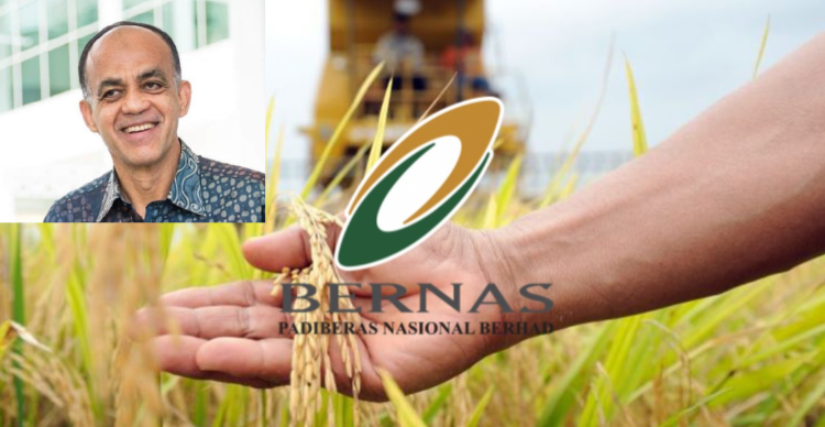 “Beyond BERNAS, Anwar should ‘break up’ other monopolies as well ...