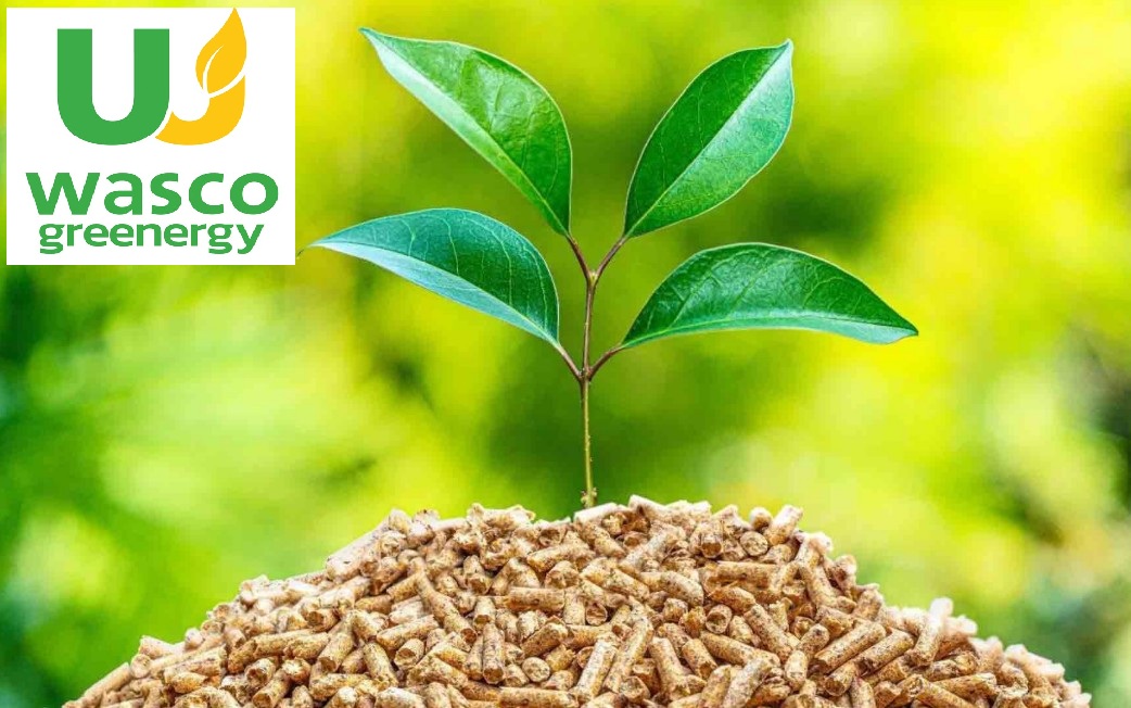 Malaysia’s biomass boom: Soon-to-be-listed Wasco Greenergy seizes the ...