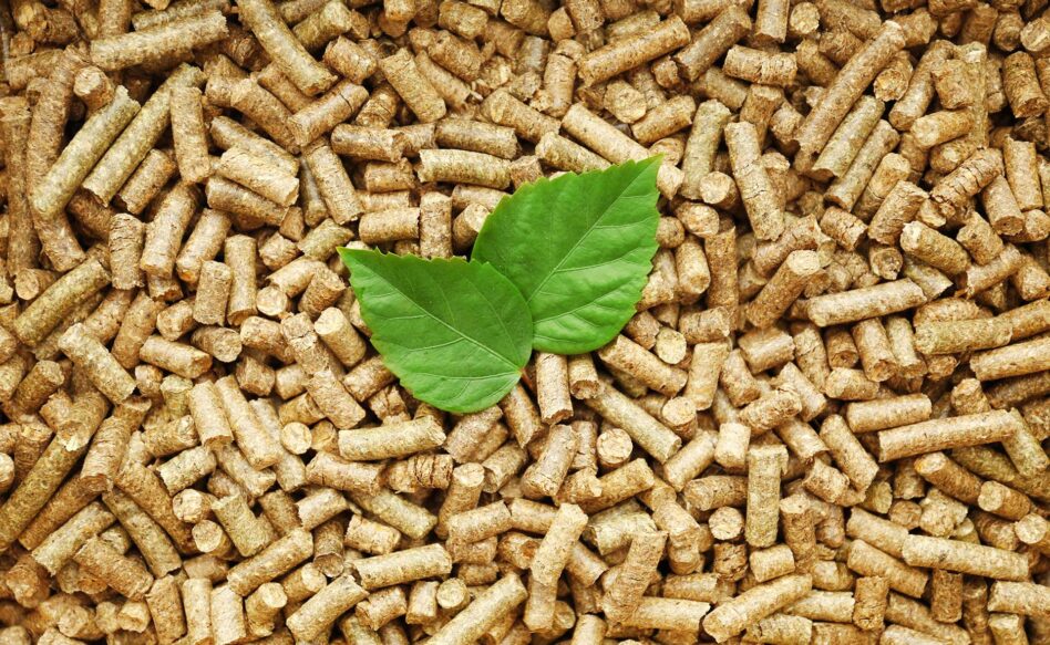 Biomass wealth: ASEAN’s overlooked catalyst in the race to renewable ...