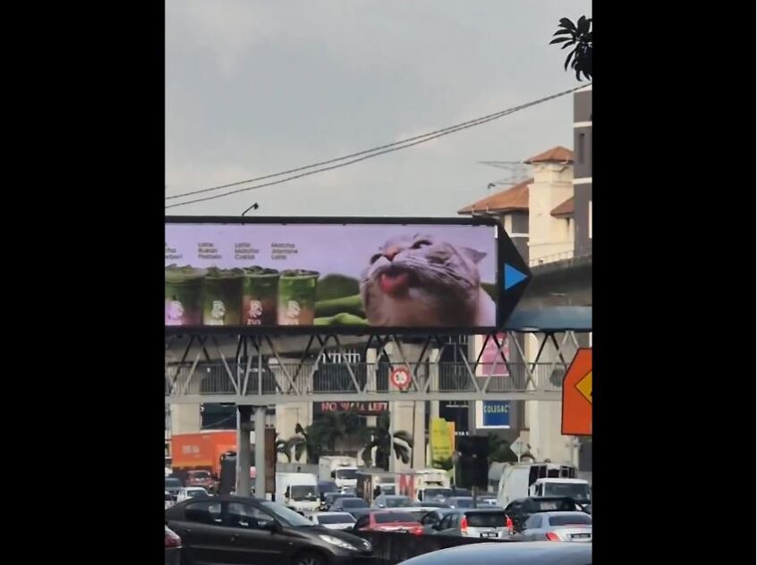 Thumbs up to ZUS Coffee cat ad: it is screen-licking good