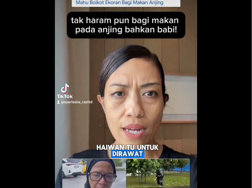 Bukit Bendera MP teaches netizens a lesson for bullying lady who fed a stray dog