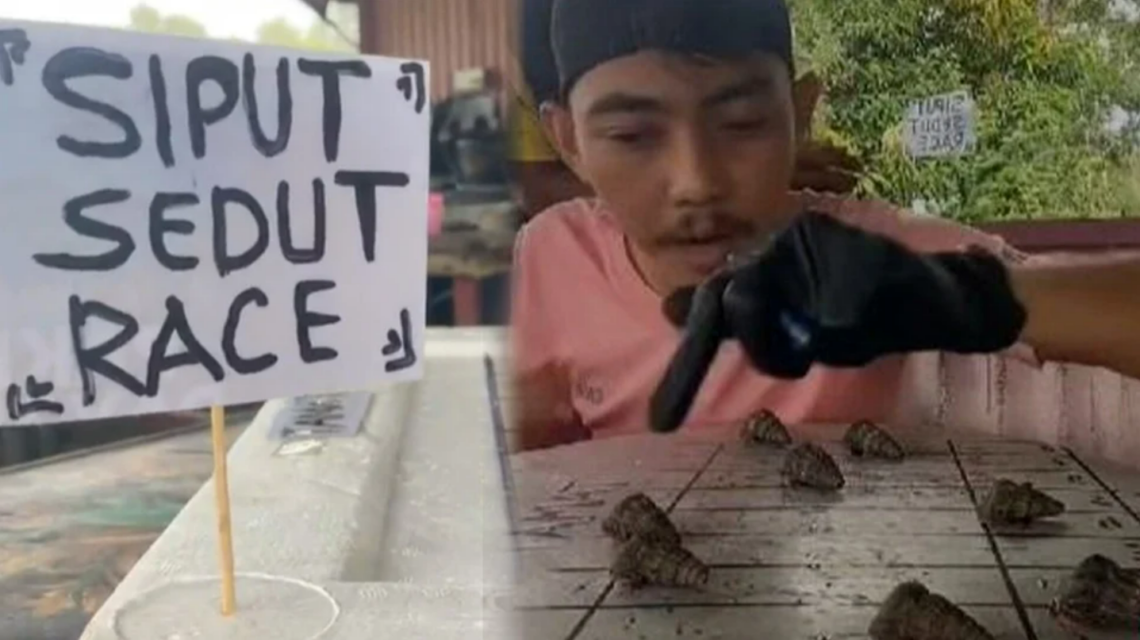 Trending mud creeper snail race on Tiktok raises the bars on comedy ...