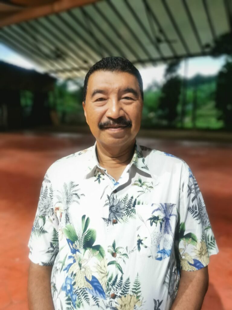 Malaysia must curtail illicit cigarettes first before imposing ...