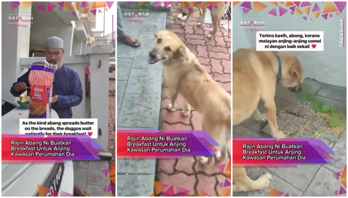 Netizens praise Malay Muslim man for feeding stray dogs