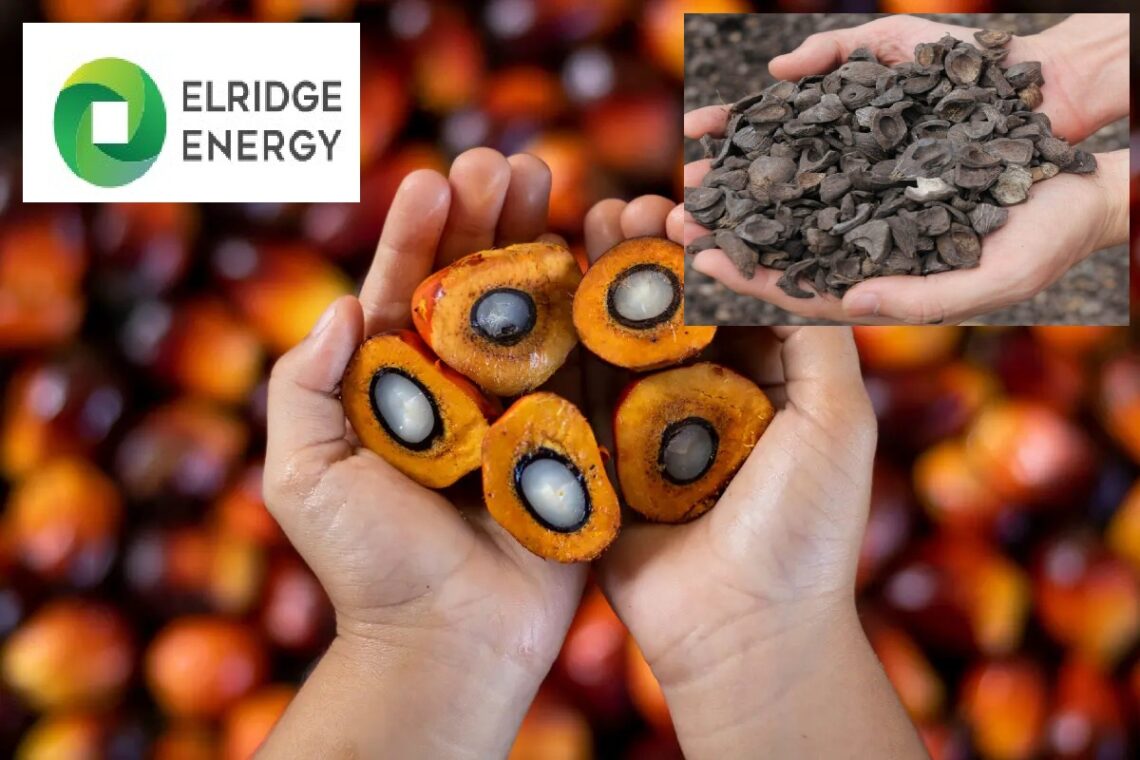 Elridge Energy scales up regional biomass supply chain as FY2025 ...