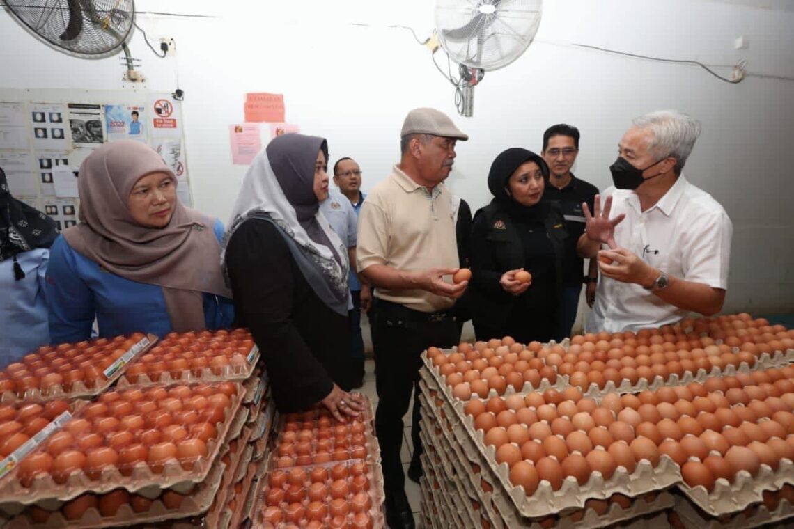 “Did Mat Sabu’s announcement to import eggs expose the egg cartel ...