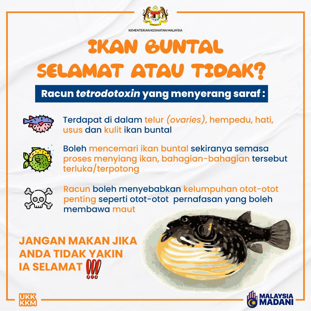 Messing around with the world’s deadliest fish at your own peril