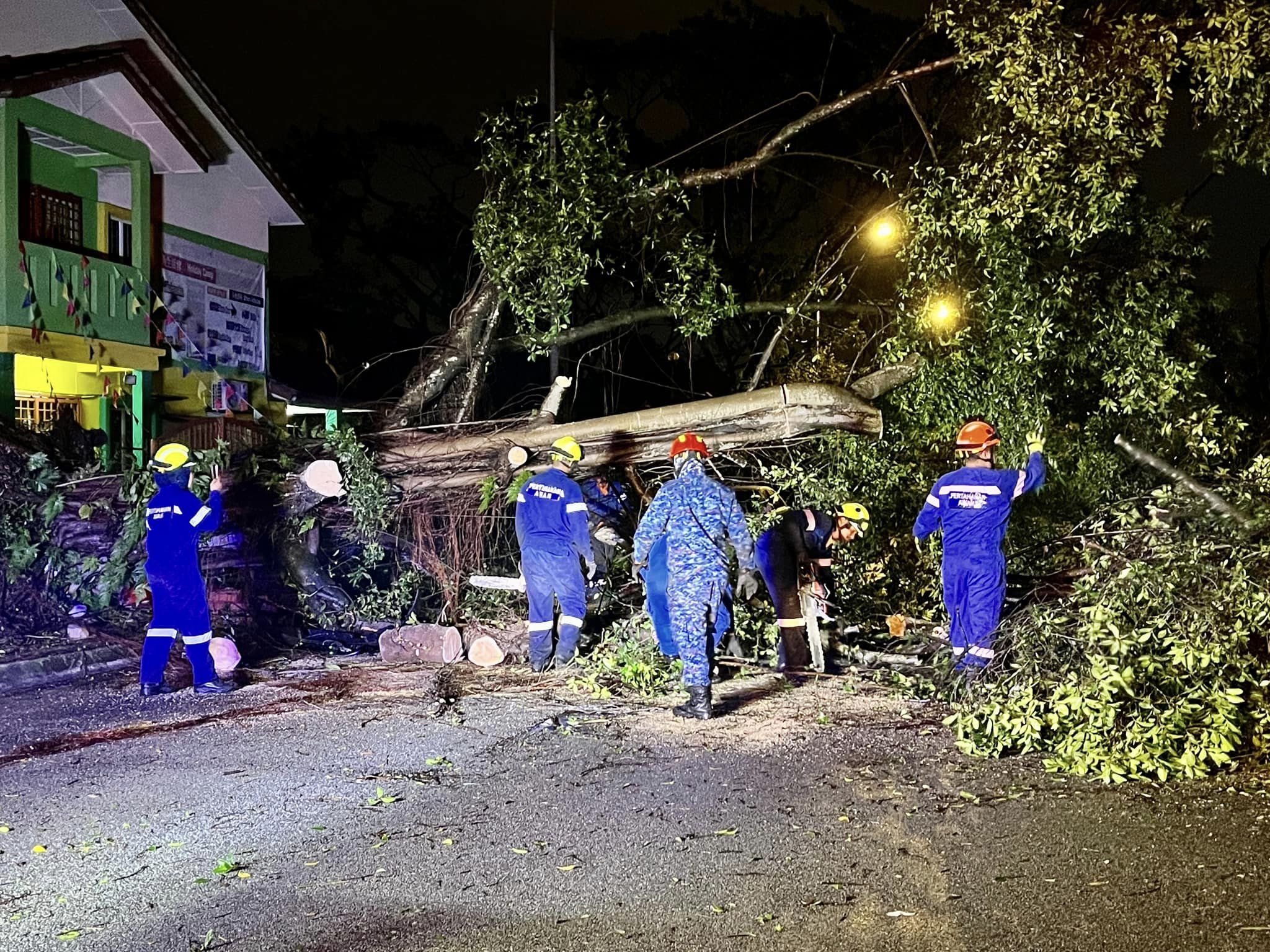 Climatic changes require a change in the way how urban trees need to be ...