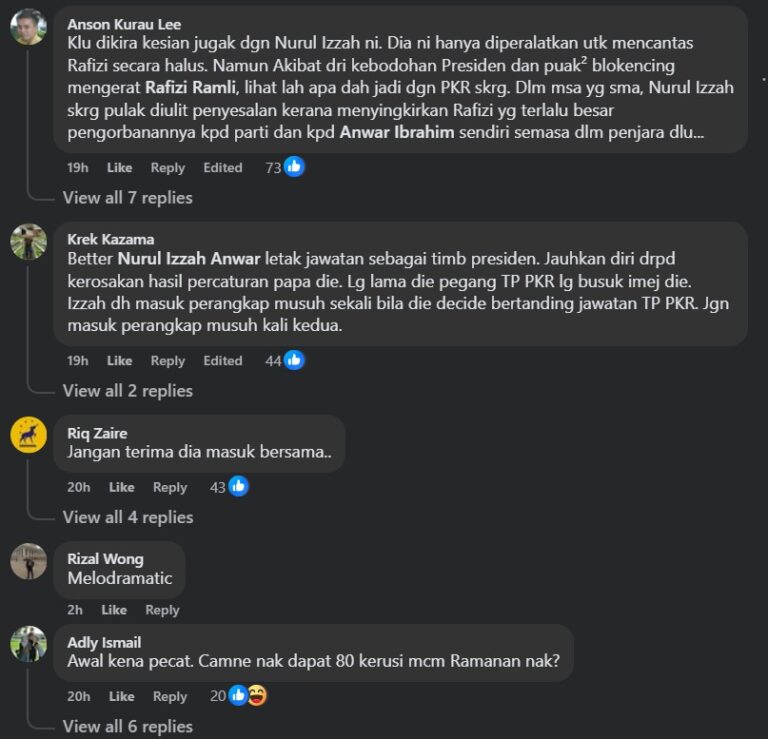 Detractors laud Nurul Izzah’s stepping down from “party warlord” role ...