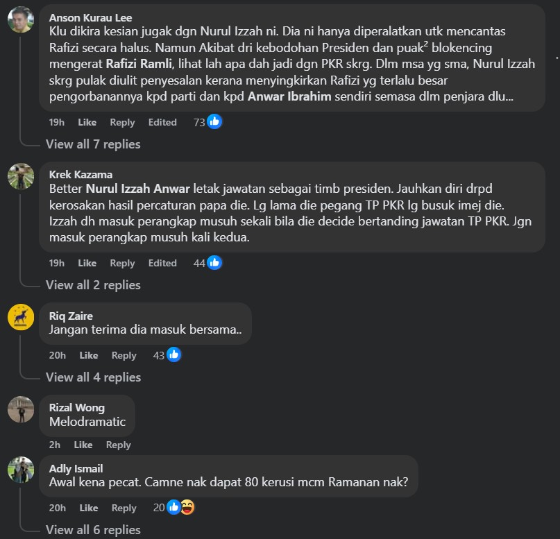 Detractors laud Nurul Izzah’s stepping down from “party warlord” role ...