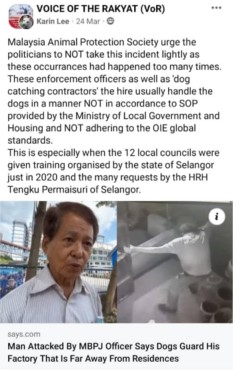 Will boycott by animal lovers affect outcome in Selangor state election?