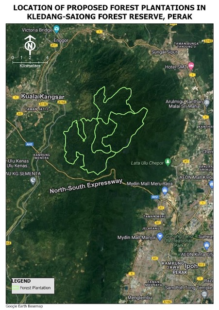 Kledang Saiong Forest Reserve to be turned into a ‘timber producing ...