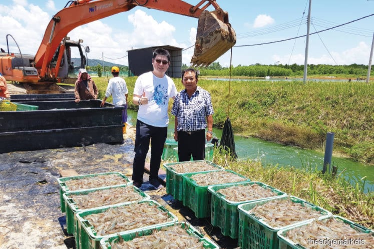 MAG should sustain as Malaysia’s top three shrimp aquaculture producer