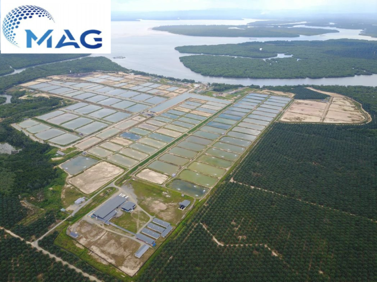 MAG sees earnings growth from expansion of its Tawau prawn farming project