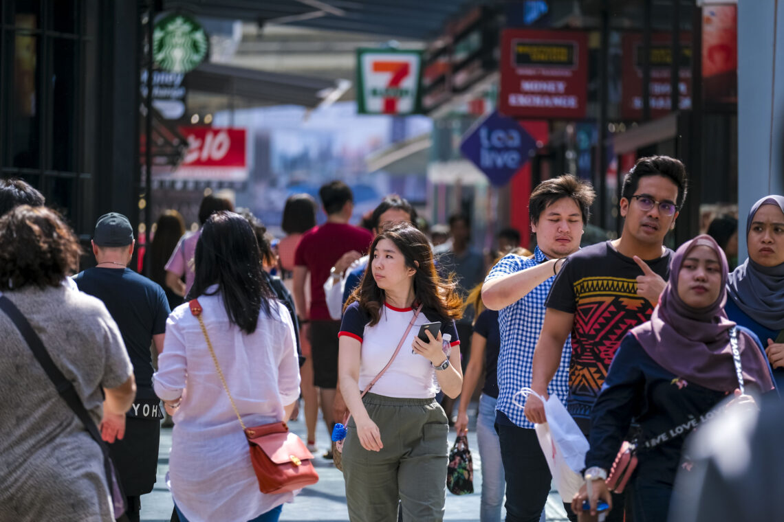 How well did local tourism businesses perform in 2024?