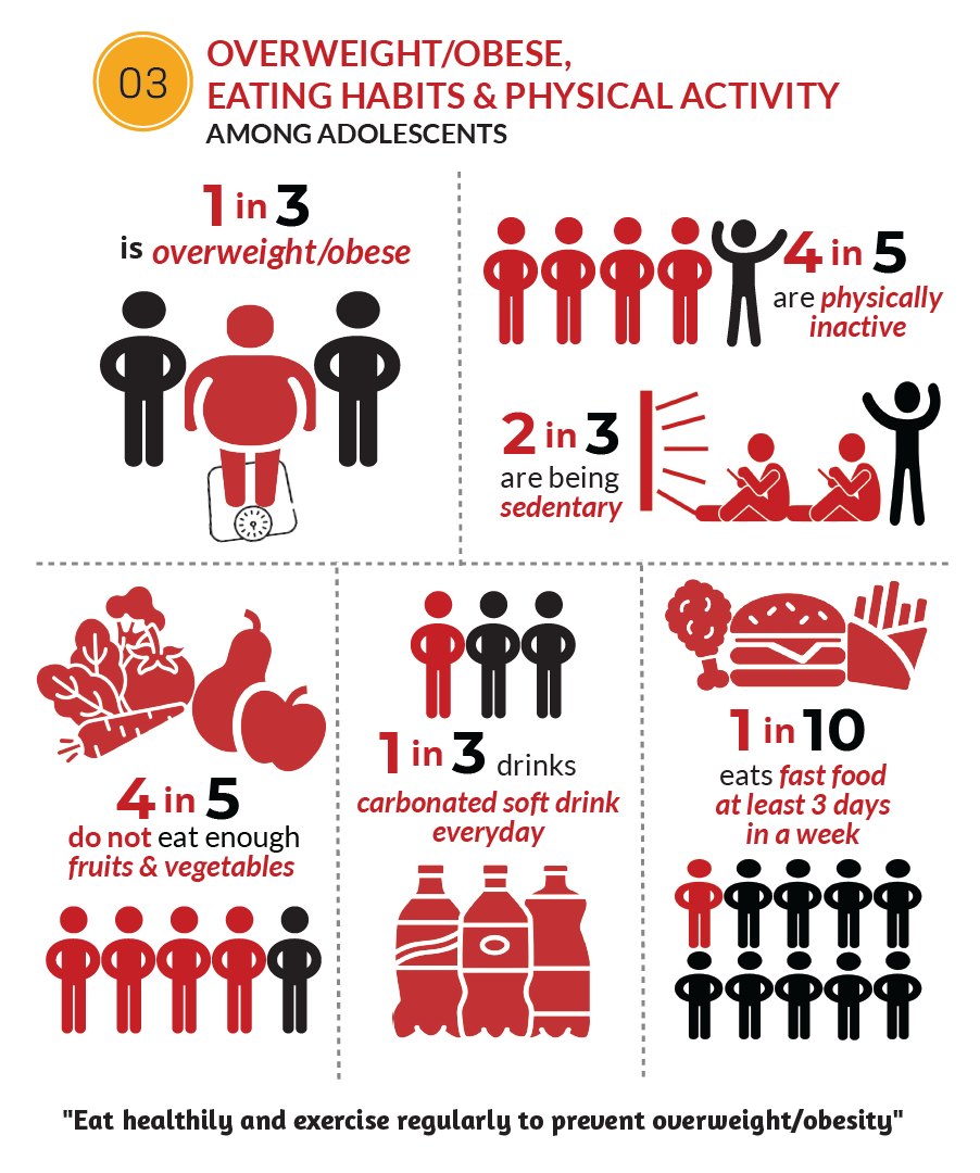 Obesity is not the Mamak’s doing: Fine-tune MOH’s health campaign to ...