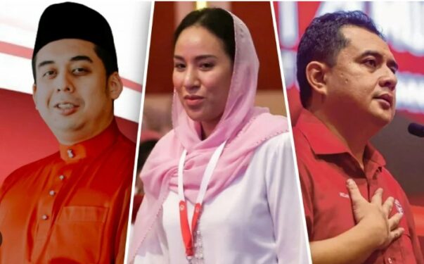 “Inappropriate for Najib’s children to venture into politics just to ...