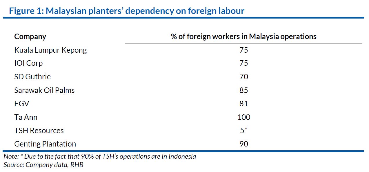 EPF changes for foreign workers a positive shift for plantation companies