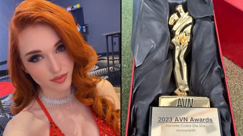 Adult Film Awards Razzle And Dazzle In Film Awards Season