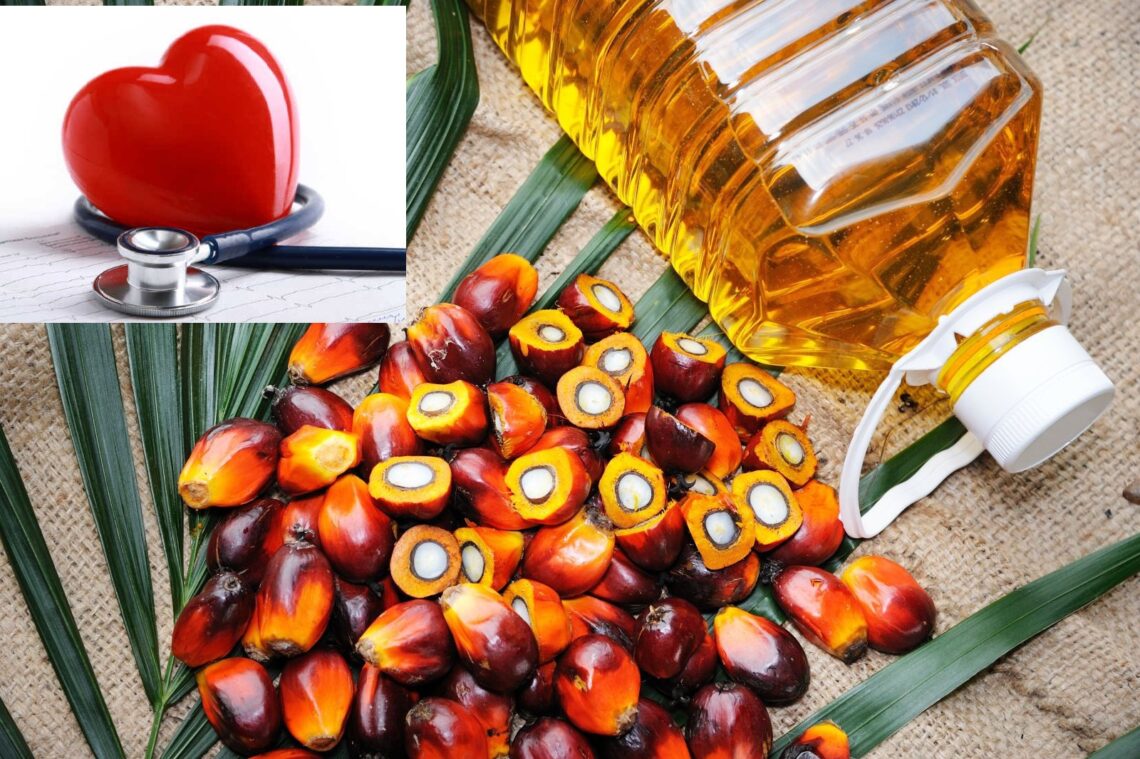 “Palm oil doesn’t increase heart disease risk when compared to other ...