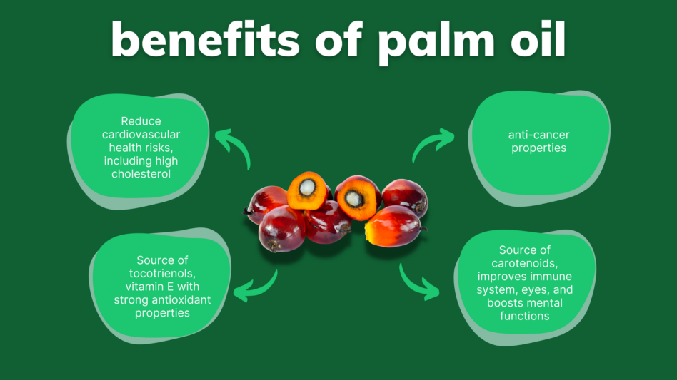 The nutritional benefits of palm oil: A balanced perspective