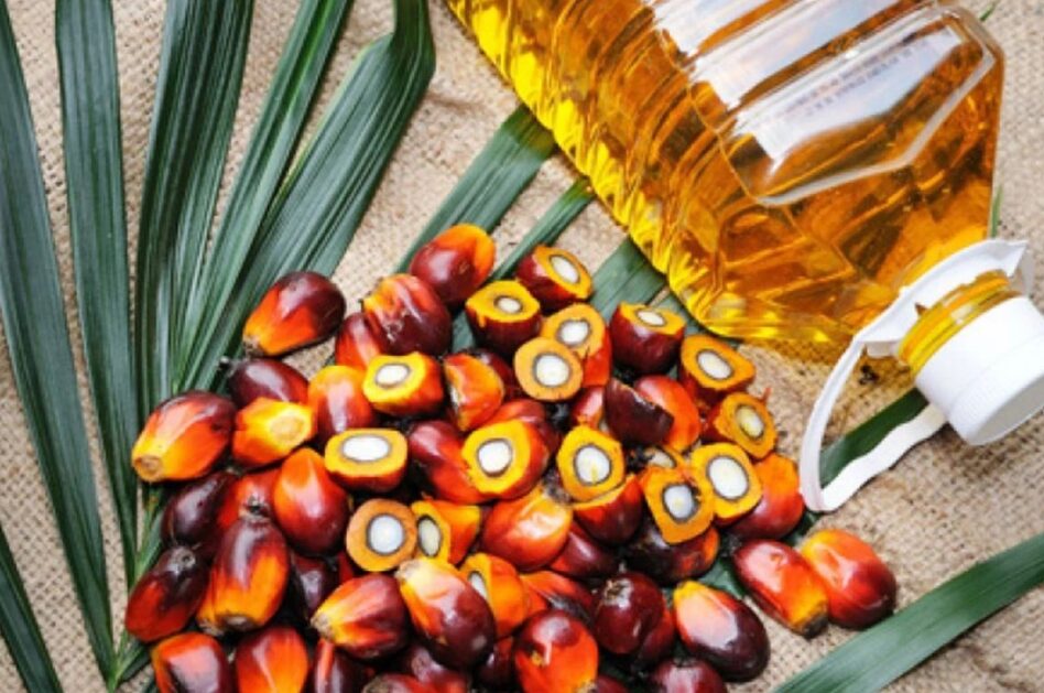 MSPO to propel Malaysia’s RM114b palm oil powerhouse on sustainability path