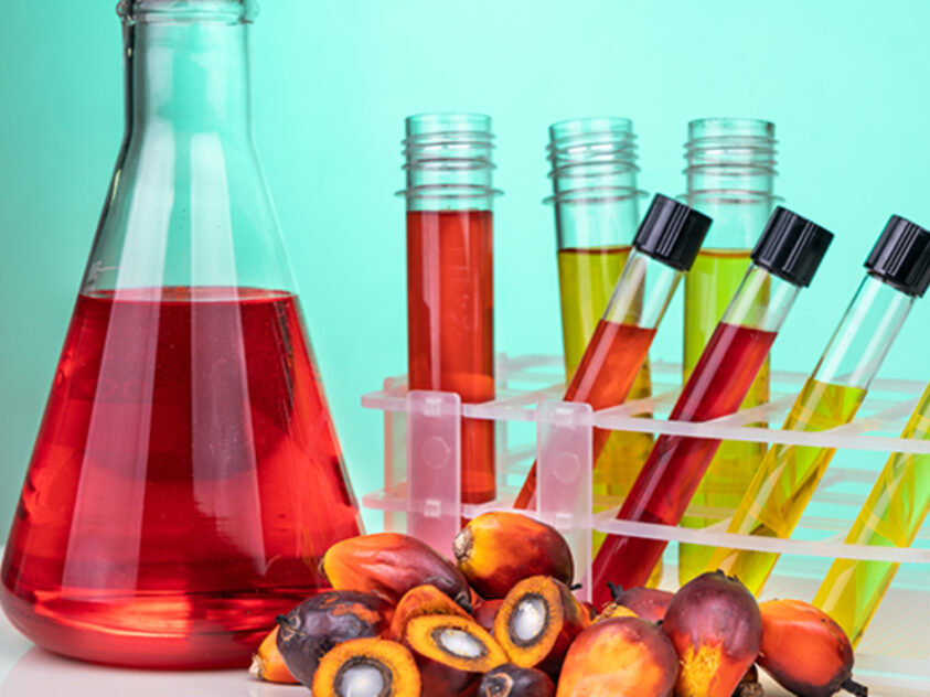 Palm oil’s tocotrienols: Nature’s proven secret for skin and longevity