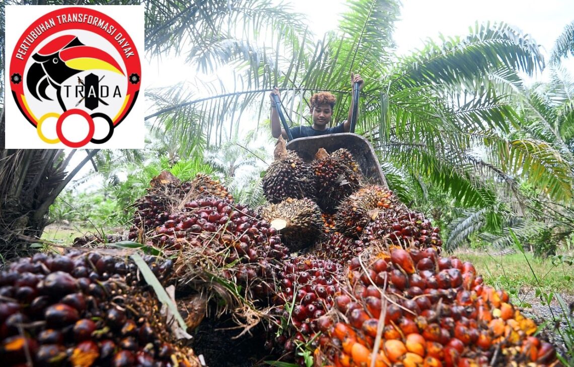 Sarawakian NGO mobilises youth in the state to preserve Malaysia’s ...