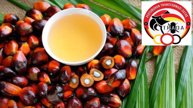 Sarawakian NGO: Need to clear health confusion of Malaysians ...