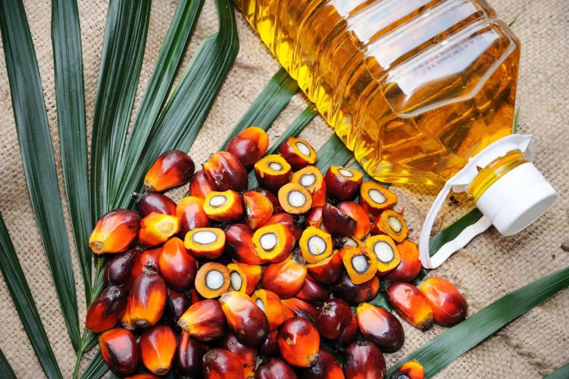The palm oil journey you didn’t know