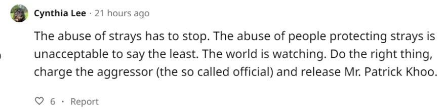 Justice for Patrick Khoo gaining traction, may affect outcome of ...