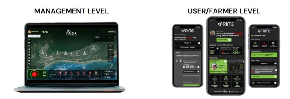 Leveraging IoT, AI, Big Data in rice production to reduce cost ...
