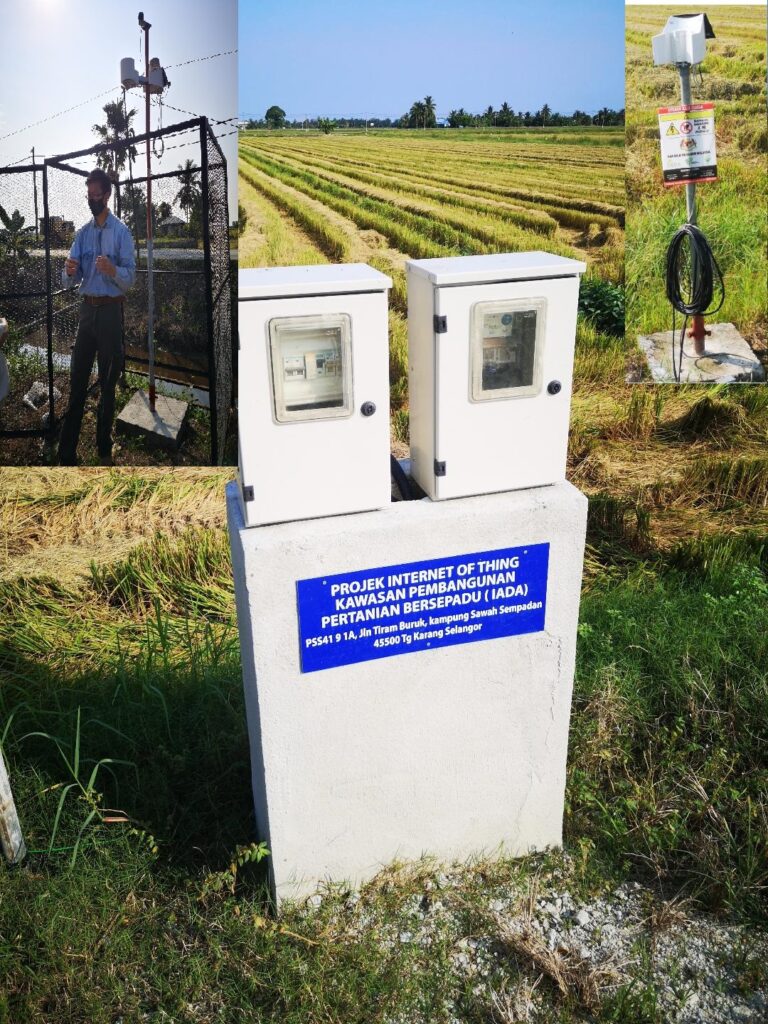 Leveraging IoT, AI, Big Data in rice production to reduce cost ...