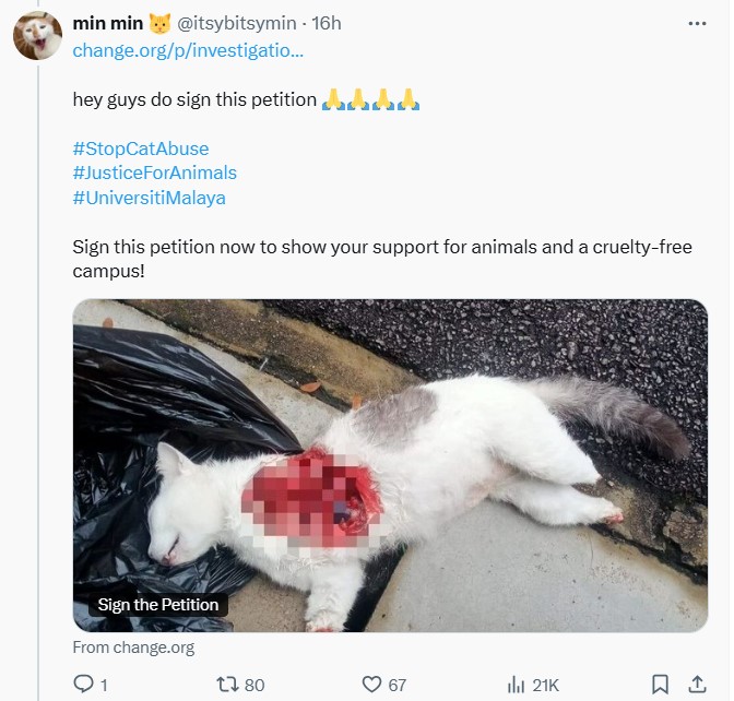 From dissenters, ‘pervert professor’ to cat lovers: Is there looming ...