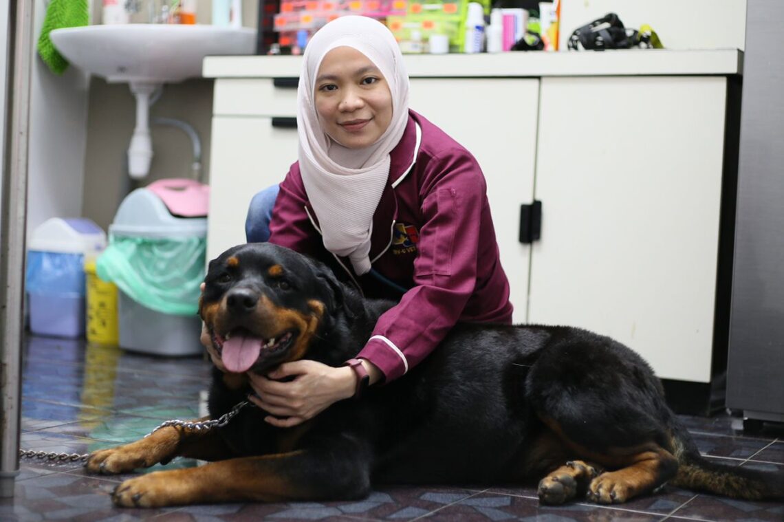 Meet Dr Ima, the Tik-Toker dog-friendly Muslim vet influencer - Focus ...