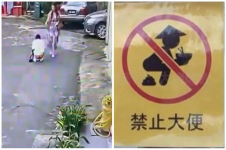 Video of alleged Chinese tourist defecating in public space disgusts ...
