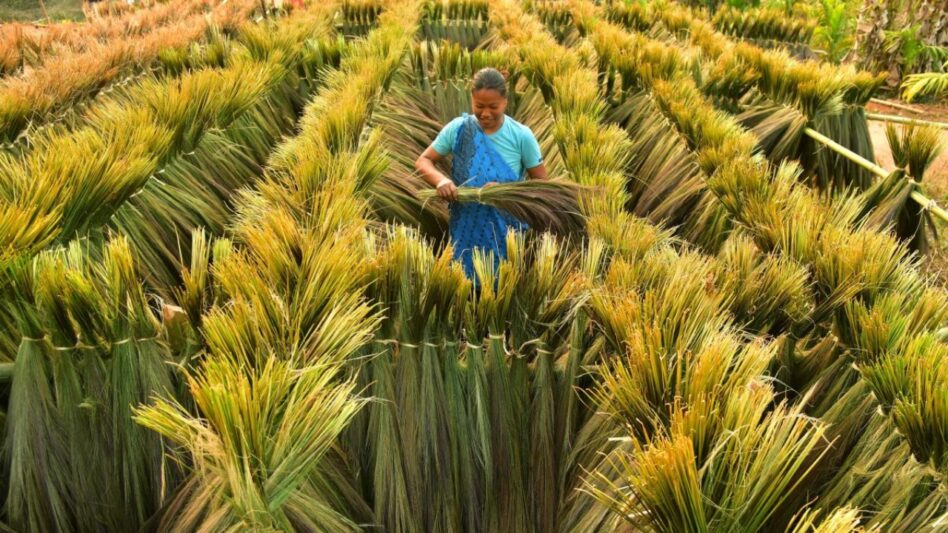 Incentivising the agricultural sector in Budget 2023 can turnaround the ...