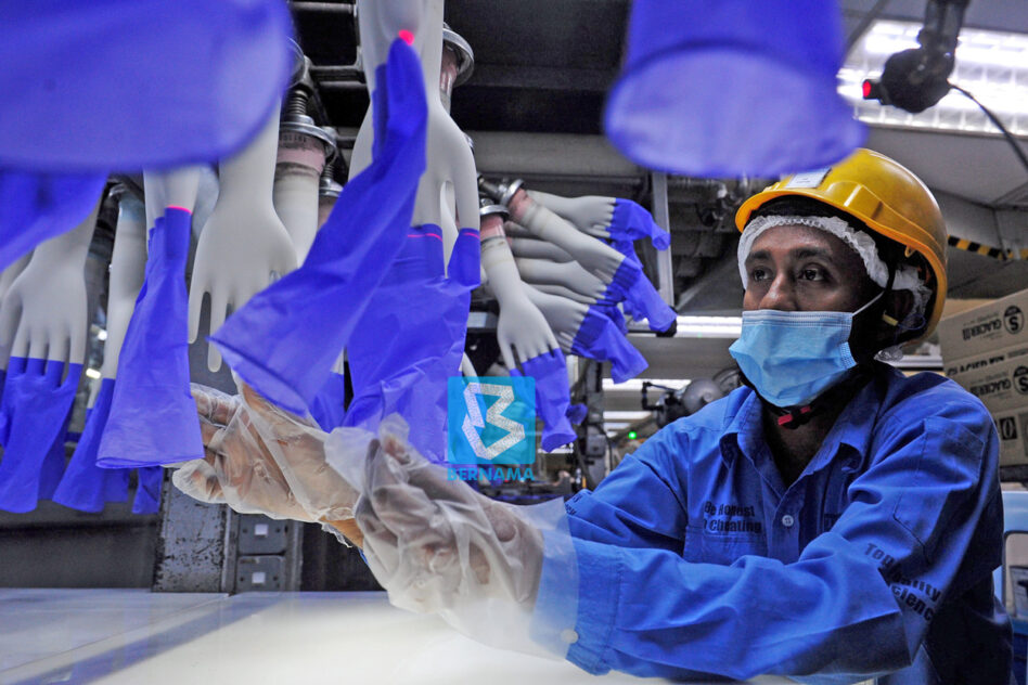 Malaysian glove makers poised for recovery as demand increases: HLIB