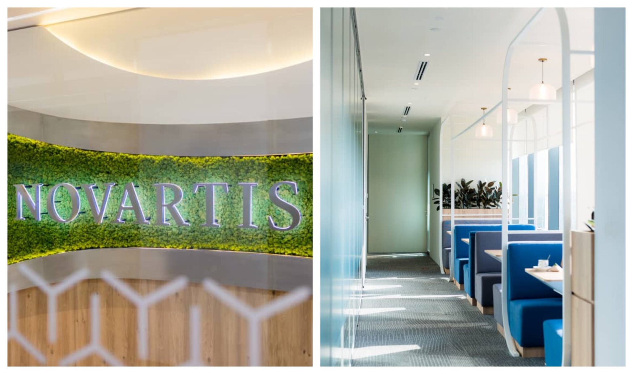 Novartis unveils new hybrid office as part of its Malaysian footprint ...